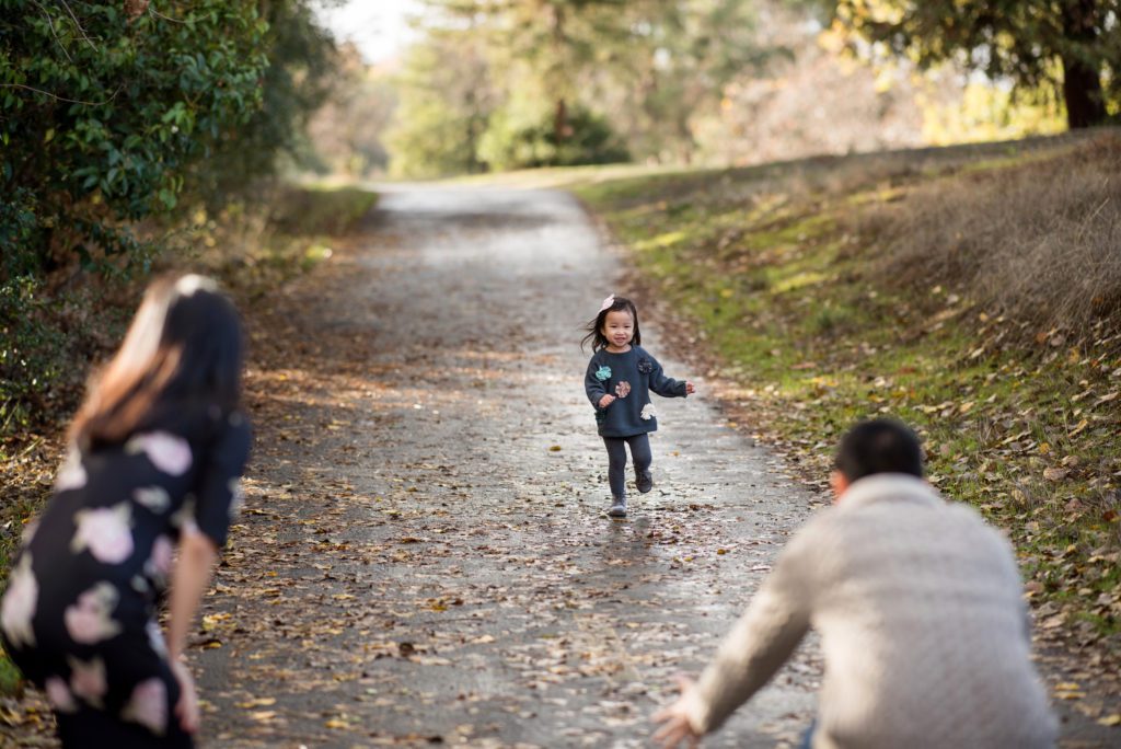 Holiday Pictures at Hellyer Park - Steven Cotton Photography
